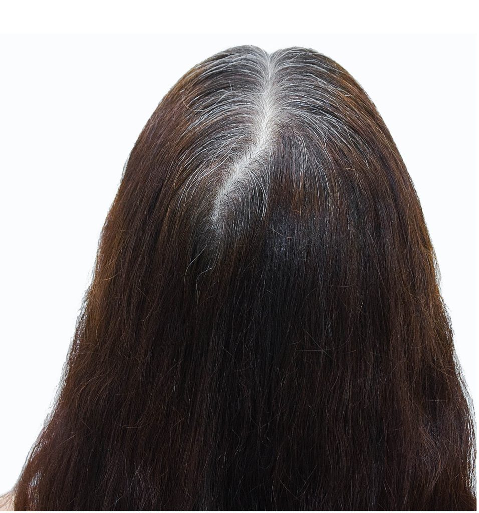 Bigen Permanent Powder Hair Colour - Bigen Europe